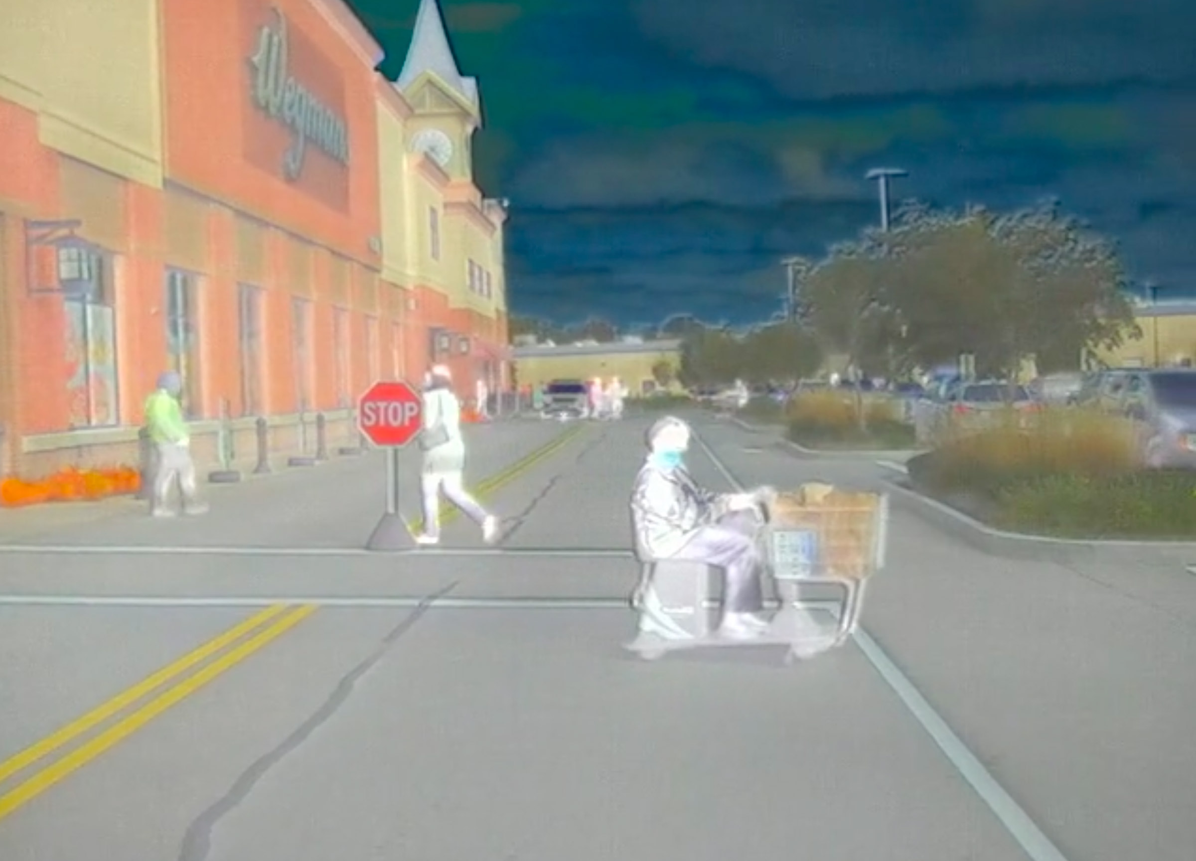 NVIDIA GTC 2020- Speaking - Owl Autonomous Imaging